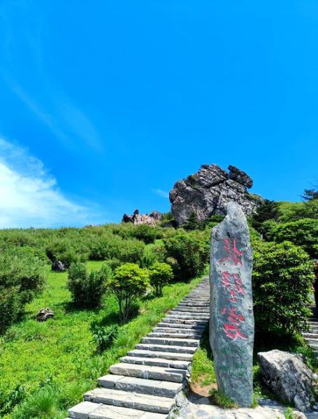 神农架景点有哪些_神农架必去景点推荐-第1张图片-山城妙识 神农架景点有哪些_神农架必去景点推荐-第1张图片-山城妙识