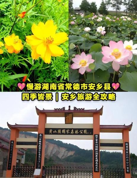 安乡一日游怎么安排_安乡有哪些小众景点-第1张图片-山城妙识