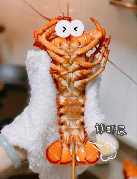 芝士焗龙虾怎么做_芝士焗龙虾需要蒸多久-第1张图片-山城妙识