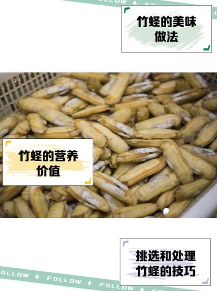 长竹蛏怎么清洗_长竹蛏蒸多久才熟-第1张图片-山城妙识