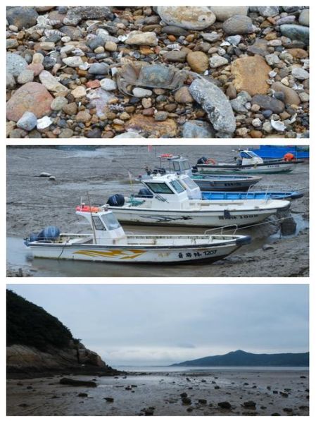 舟山六横岛有什么好玩的_怎么去六横岛最方便-第3张图片-山城妙识 舟山六横岛有什么好玩的_怎么去六横岛最方便-第3张图片-山城妙识