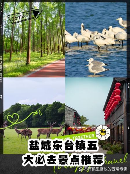 盐城旅游景点排名前十_盐城最值得去的地方有哪些-第1张图片-山城妙识