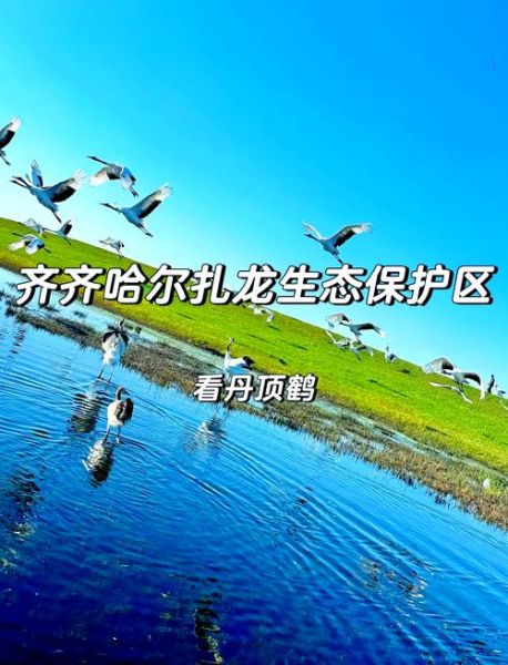 齐齐哈尔周边旅游景点哪里好玩_自驾一日游路线推荐-第2张图片-山城妙识 齐齐哈尔周边旅游景点哪里好玩_自驾一日游路线推荐-第2张图片-山城妙识