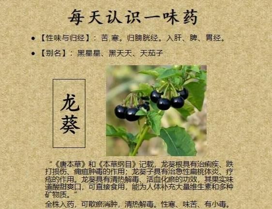 龙葵的做法大全_龙葵怎么做好吃-第1张图片-山城妙识