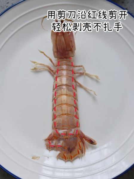 清蒸皮皮虾的做法_蒸多久才最鲜嫩-第1张图片-山城妙识 清蒸皮皮虾的做法_蒸多久才最鲜嫩-第1张图片-山城妙识