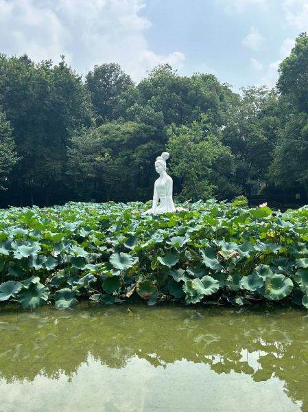 诸暨旅游景点有哪些_西施故里值得去吗-第3张图片-山城妙识 诸暨旅游景点有哪些_西施故里值得去吗-第3张图片-山城妙识