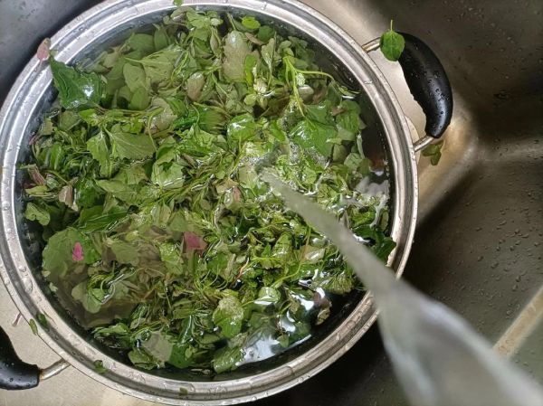 干灰菜怎么做好吃_干灰菜的家常做法大全-第1张图片-山城妙识 干灰菜怎么做好吃_干灰菜的家常做法大全-第1张图片-山城妙识