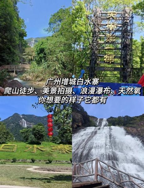 白水景点有哪些_白水一日游最佳路线-第2张图片-山城妙识 白水景点有哪些_白水一日游最佳路线-第2张图片-山城妙识