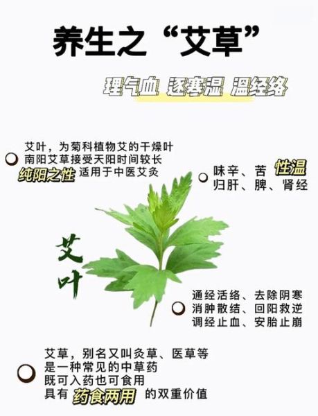 艾地理是什么_艾地理怎么用-第2张图片-山城妙识 艾地理是什么_艾地理怎么用-第2张图片-山城妙识