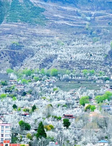 金川县旅游景点有哪些_金川梨花节最佳观赏地点-第1张图片-山城妙识