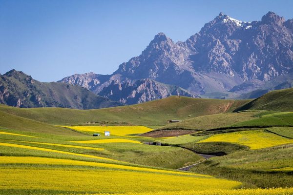 祁连县旅游景点有哪些_祁连山草原怎么去-第1张图片-山城妙识 祁连县旅游景点有哪些_祁连山草原怎么去-第1张图片-山城妙识