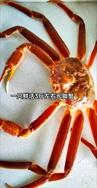 长脚蟹怎么蒸好吃_长脚蟹清蒸步骤-第1张图片-山城妙识 长脚蟹怎么蒸好吃_长脚蟹清蒸步骤-第1张图片-山城妙识