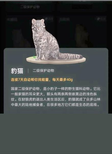 地理狸是什么动物_地理狸和狸猫区别-第1张图片-山城妙识 地理狸是什么动物_地理狸和狸猫区别-第1张图片-山城妙识