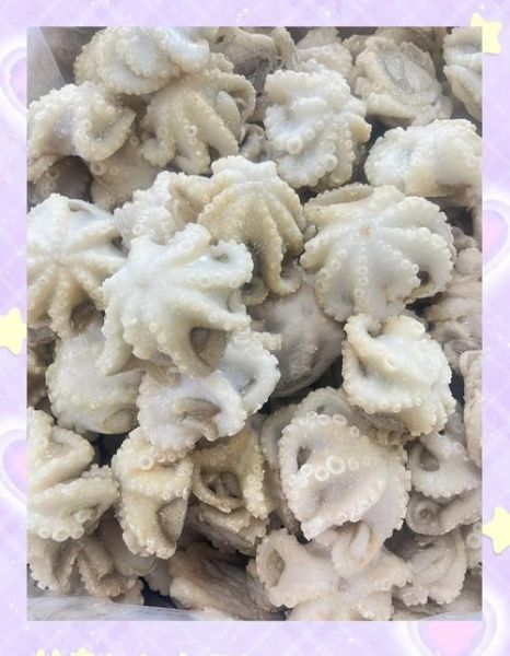 白灼八爪鱼怎么做_八爪鱼焯水多久才嫩-第3张图片-山城妙识 白灼八爪鱼怎么做_八爪鱼焯水多久才嫩-第3张图片-山城妙识