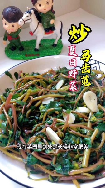 凉拌马齿苋怎么做_马齿苋焯水几分钟-第1张图片-山城妙识 凉拌马齿苋怎么做_马齿苋焯水几分钟-第1张图片-山城妙识