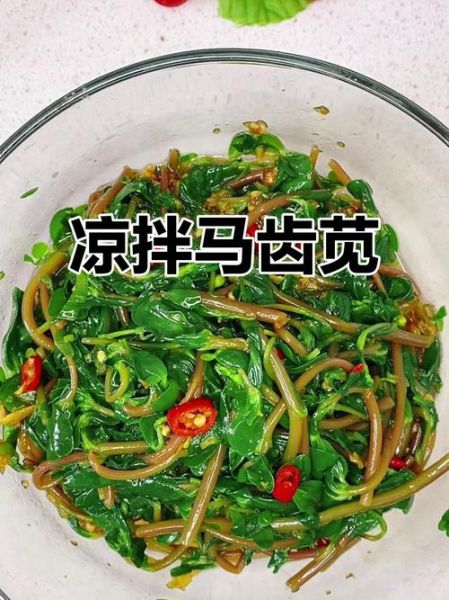 凉拌马齿苋怎么做_马齿苋焯水几分钟-第3张图片-山城妙识 凉拌马齿苋怎么做_马齿苋焯水几分钟-第3张图片-山城妙识
