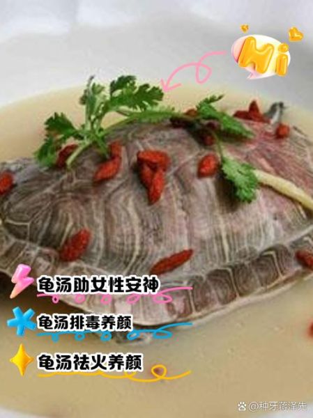 乌龟汤怎么炖_乌龟汤做法步骤详解-第2张图片-山城妙识 乌龟汤怎么炖_乌龟汤做法步骤详解-第2张图片-山城妙识