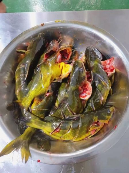 嘎牙子鱼怎么做好吃_嘎牙子鱼的家常做法-第1张图片-山城妙识 嘎牙子鱼怎么做好吃_嘎牙子鱼的家常做法-第1张图片-山城妙识