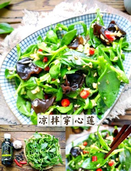 穿心莲凉拌菜怎么做_穿心莲凉拌要不要焯水-第1张图片-山城妙识