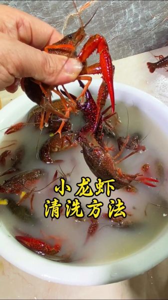 家常小龙虾最简单做法_小龙虾怎么清洗最干净-第2张图片-山城妙识 家常小龙虾最简单做法_小龙虾怎么清洗最干净-第2张图片-山城妙识