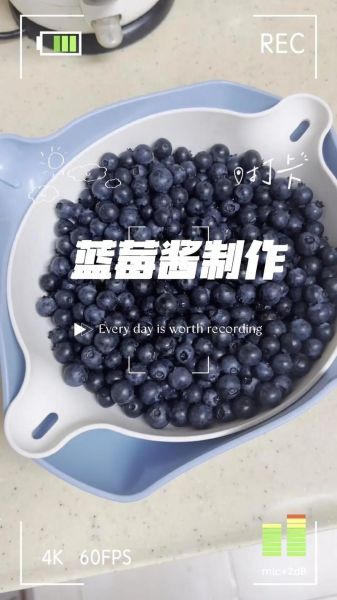 蓝莓汁怎么做_蓝莓汁的做法窍门-第2张图片-山城妙识 蓝莓汁怎么做_蓝莓汁的做法窍门-第2张图片-山城妙识
