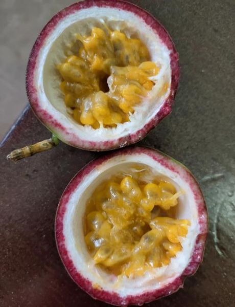 蜂蜜百香果怎么做_蜂蜜百香果做法窍门-第2张图片-山城妙识 蜂蜜百香果怎么做_蜂蜜百香果做法窍门-第2张图片-山城妙识