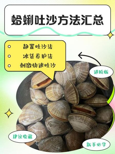 花蛤怎么吐沙干净_花蛤的家常做法步骤-第1张图片-山城妙识 花蛤怎么吐沙干净_花蛤的家常做法步骤-第1张图片-山城妙识