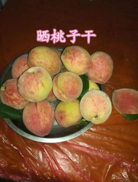 桃干怎么晒_家常做法步骤-第2张图片-山城妙识 桃干怎么晒_家常做法步骤-第2张图片-山城妙识