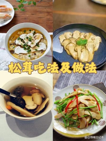 松茸汤怎么炖好喝_松茸汤做法步骤详解-第3张图片-山城妙识 松茸汤怎么炖好喝_松茸汤做法步骤详解-第3张图片-山城妙识