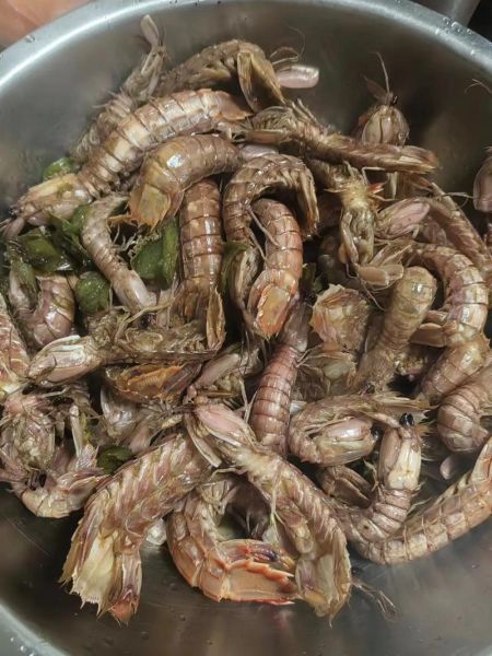 爬虾怎么做好吃_爬虾的做法大全-第3张图片-山城妙识 爬虾怎么做好吃_爬虾的做法大全-第3张图片-山城妙识