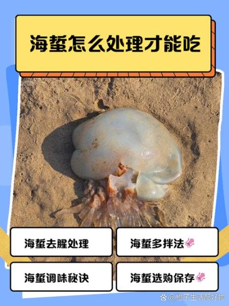 海蜇怎么清洗_海蜇的做法大全-第2张图片-山城妙识 海蜇怎么清洗_海蜇的做法大全-第2张图片-山城妙识