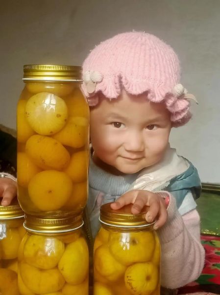 无花果酱怎么做_无花果酱能保存多久-第2张图片-山城妙识 无花果酱怎么做_无花果酱能保存多久-第2张图片-山城妙识