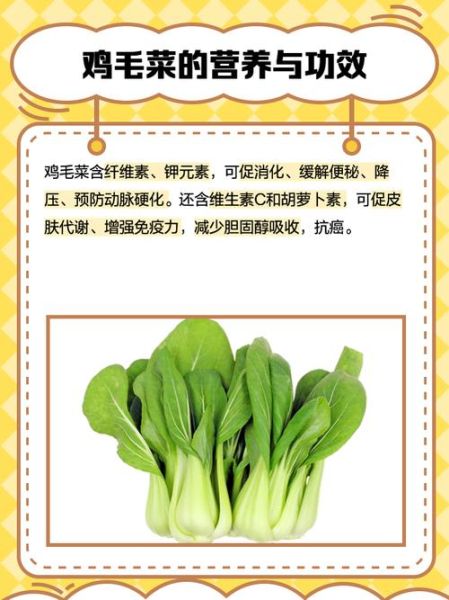 鸡毛菜怎么炒好吃_鸡毛菜焯水几分钟-第1张图片-山城妙识 鸡毛菜怎么炒好吃_鸡毛菜焯水几分钟-第1张图片-山城妙识