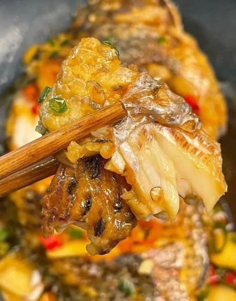 罗非鱼怎么做好吃_清蒸罗非鱼的做法步骤-第1张图片-山城妙识