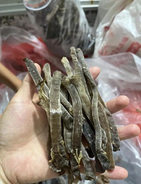 沙虫怎么做好吃_沙虫干煲汤做法-第3张图片-山城妙识 沙虫怎么做好吃_沙虫干煲汤做法-第3张图片-山城妙识