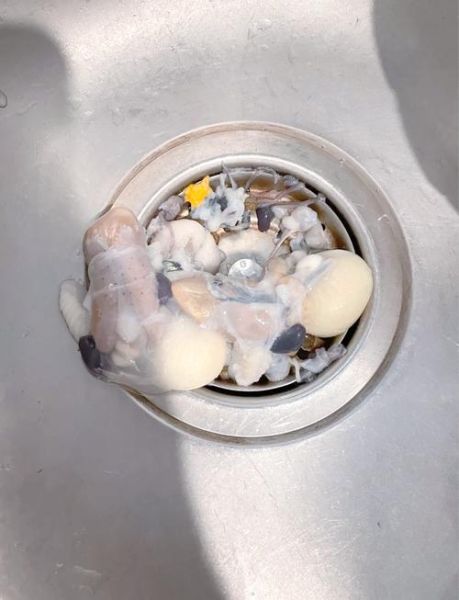 八爪鱼怎么清洗_八爪鱼怎么做好吃-第3张图片-山城妙识 八爪鱼怎么清洗_八爪鱼怎么做好吃-第3张图片-山城妙识