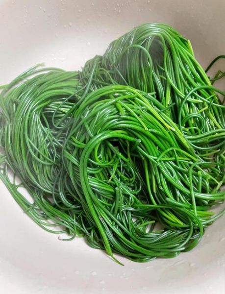 凉拌沙葱怎么做_凉拌沙葱需要焯水吗-第2张图片-山城妙识