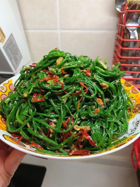 凉拌沙葱怎么做_凉拌沙葱需要焯水吗-第1张图片-山城妙识