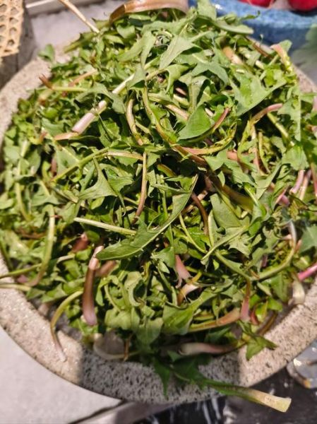 山野菜怎么做好吃_山野菜的做法大全-第3张图片-山城妙识 山野菜怎么做好吃_山野菜的做法大全-第3张图片-山城妙识