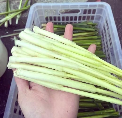 蒲菜怎么做好吃_蒲菜的家常做法-第2张图片-山城妙识 蒲菜怎么做好吃_蒲菜的家常做法-第2张图片-山城妙识