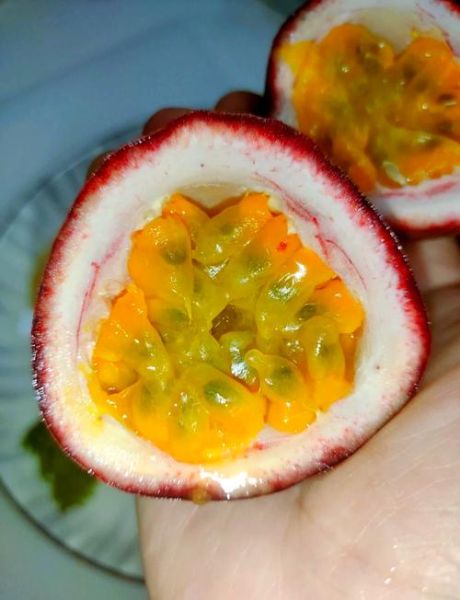 百香果鸡爪怎么做_百香果鸡爪要焯水吗-第1张图片-山城妙识 百香果鸡爪怎么做_百香果鸡爪要焯水吗-第1张图片-山城妙识