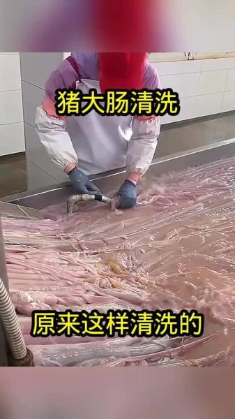 猪大肠怎么清洗才没臭味_猪大肠焯水用冷水还是热水-第2张图片-山城妙识