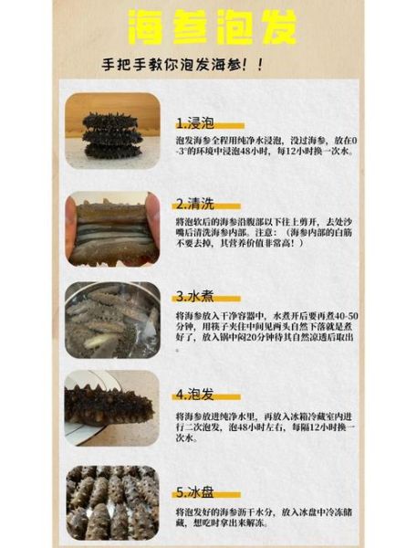 海参怎么泡发_海参的家常做法视频-第1张图片-山城妙识 海参怎么泡发_海参的家常做法视频-第1张图片-山城妙识