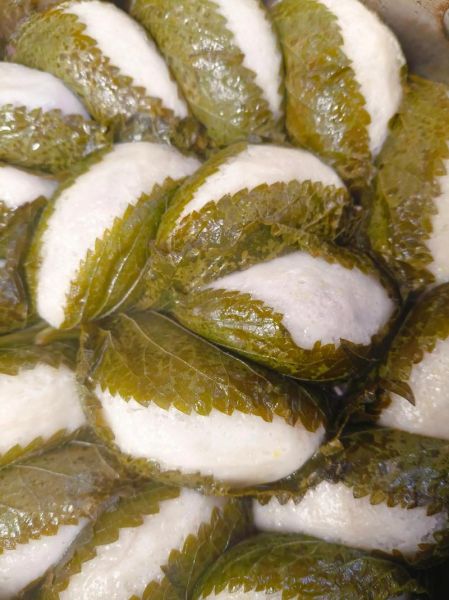 粘耗子怎么做_粘耗子为什么粘不住-第1张图片-山城妙识 粘耗子怎么做_粘耗子为什么粘不住-第1张图片-山城妙识