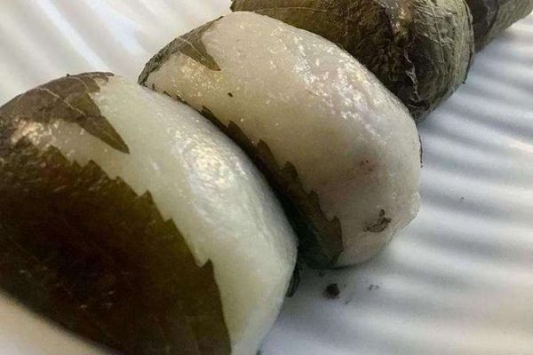 粘耗子怎么做_粘耗子为什么粘不住-第2张图片-山城妙识 粘耗子怎么做_粘耗子为什么粘不住-第2张图片-山城妙识