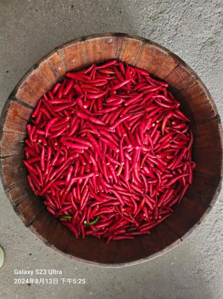 剁辣椒怎么做_家庭自制剁辣椒保存多久-第2张图片-山城妙识 剁辣椒怎么做_家庭自制剁辣椒保存多久-第2张图片-山城妙识