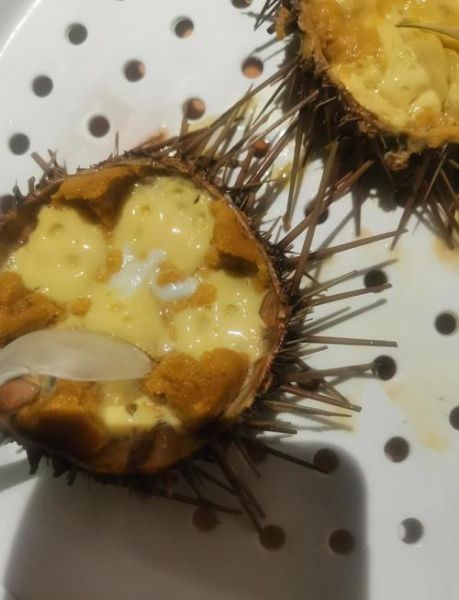 海胆蒸蛋怎么做_海胆蒸蛋的正宗做法-第1张图片-山城妙识 海胆蒸蛋怎么做_海胆蒸蛋的正宗做法-第1张图片-山城妙识