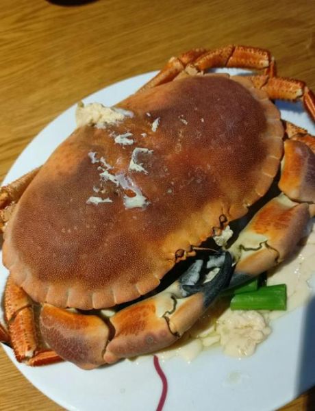 面包蟹怎么蒸好吃_面包蟹蒸多久才入味-第1张图片-山城妙识 面包蟹怎么蒸好吃_面包蟹蒸多久才入味-第1张图片-山城妙识