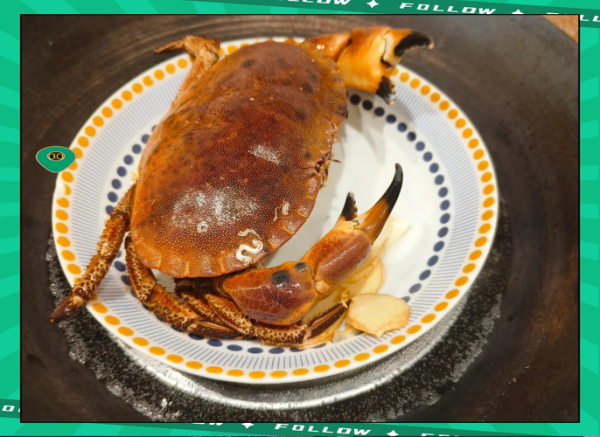 面包蟹怎么蒸好吃_面包蟹蒸多久才入味-第3张图片-山城妙识 面包蟹怎么蒸好吃_面包蟹蒸多久才入味-第3张图片-山城妙识