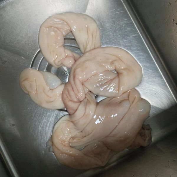 大肠汤的家常做法_大肠汤怎么做好吃-第2张图片-山城妙识 大肠汤的家常做法_大肠汤怎么做好吃-第2张图片-山城妙识